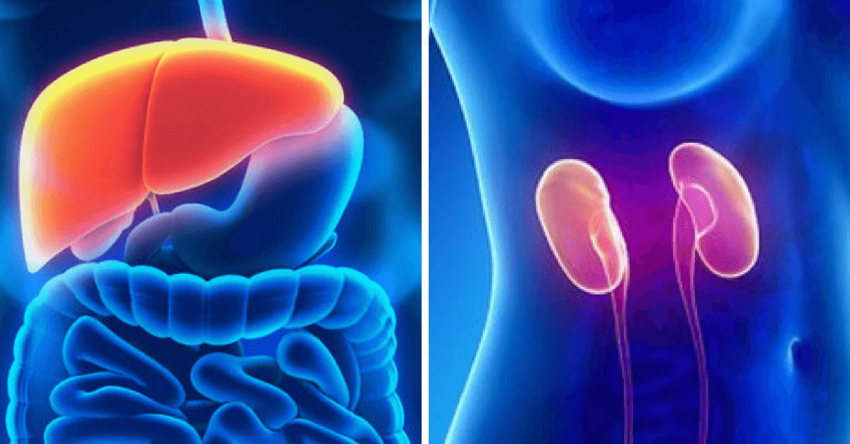 Desintoxicación del hígado y riñones - e-Consejos