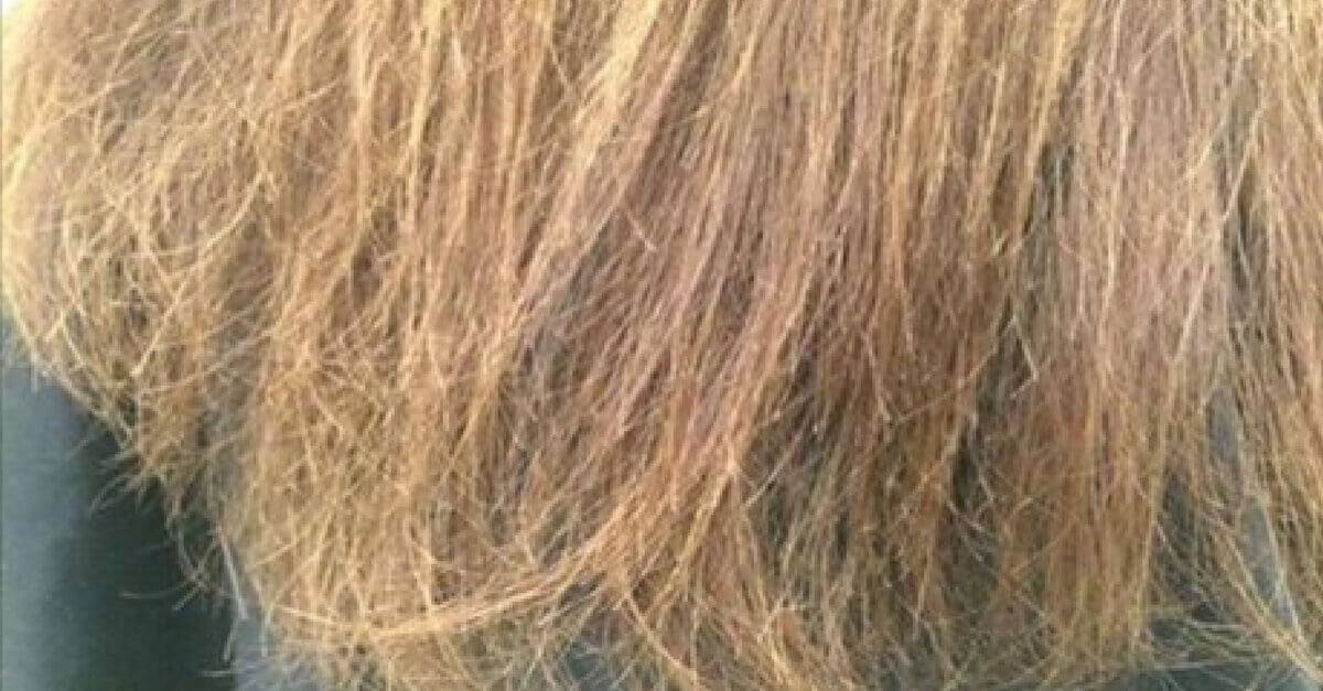 Consejo poderoso: para restaurar su cabello dañado y hacerlo crecer más ...