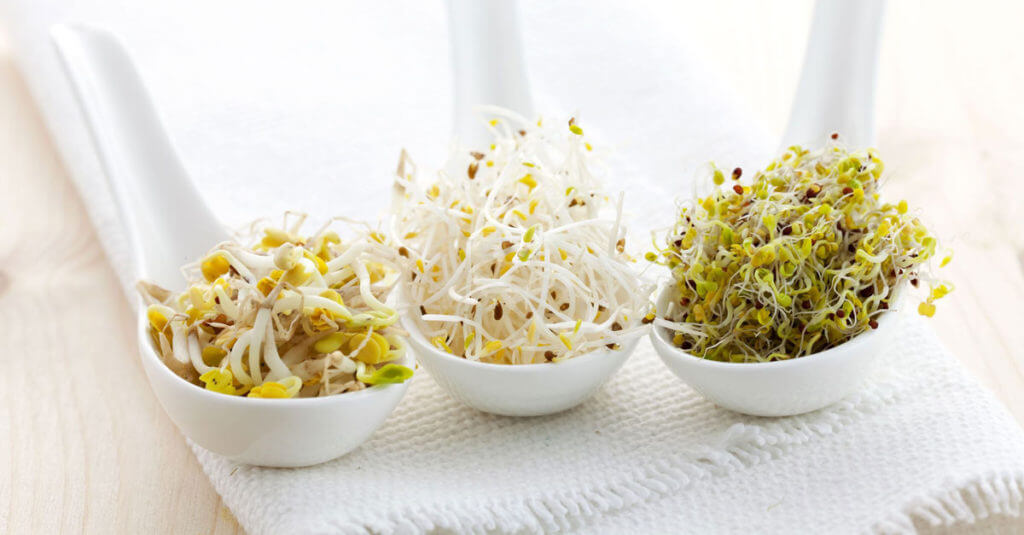 ¿Sabe que son los germinados?