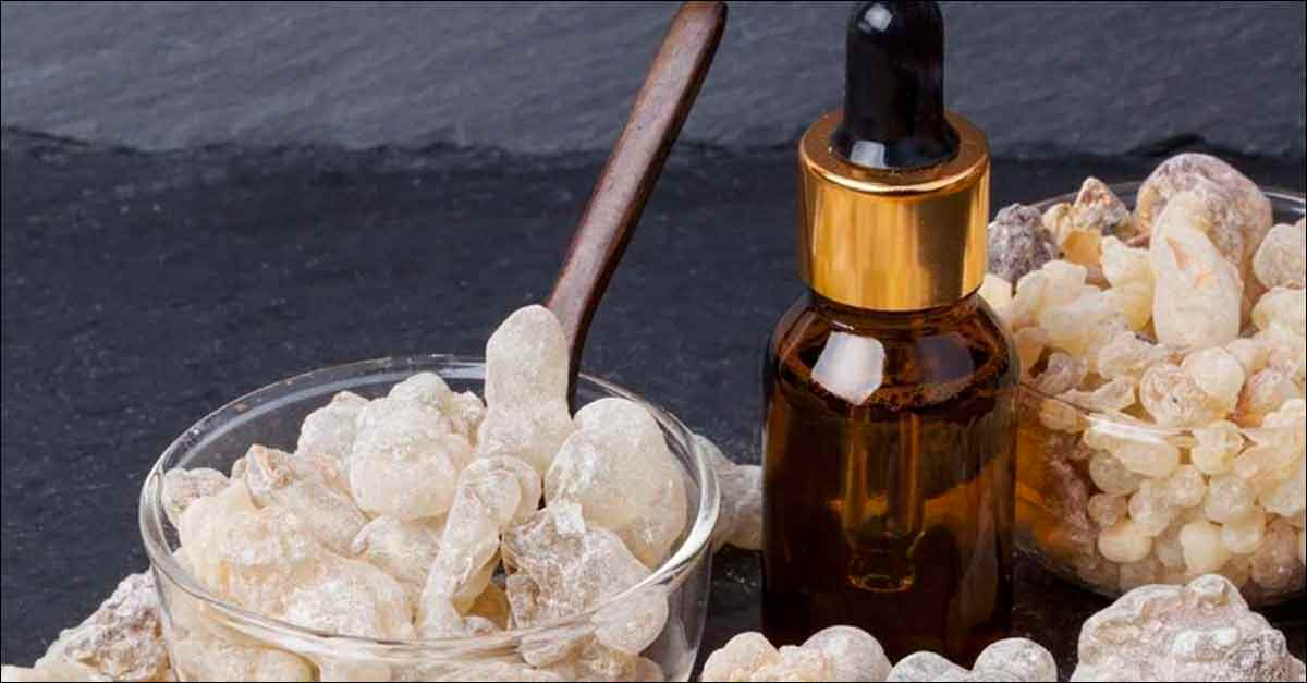 El aceite esencial de olíbano o frankincense hace maravillas por su salud