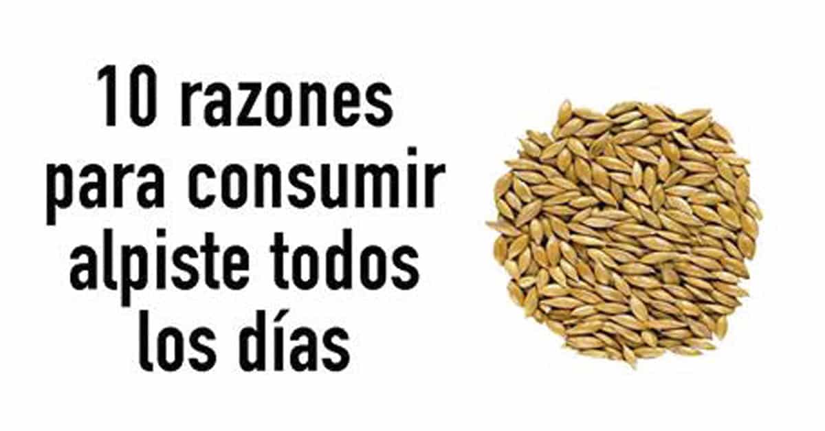 ¿Conoce los beneficios de consumir alpiste? - e-Consejos