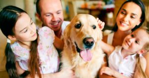 9 cosas que identifican a las casas donde hay perros como mascota