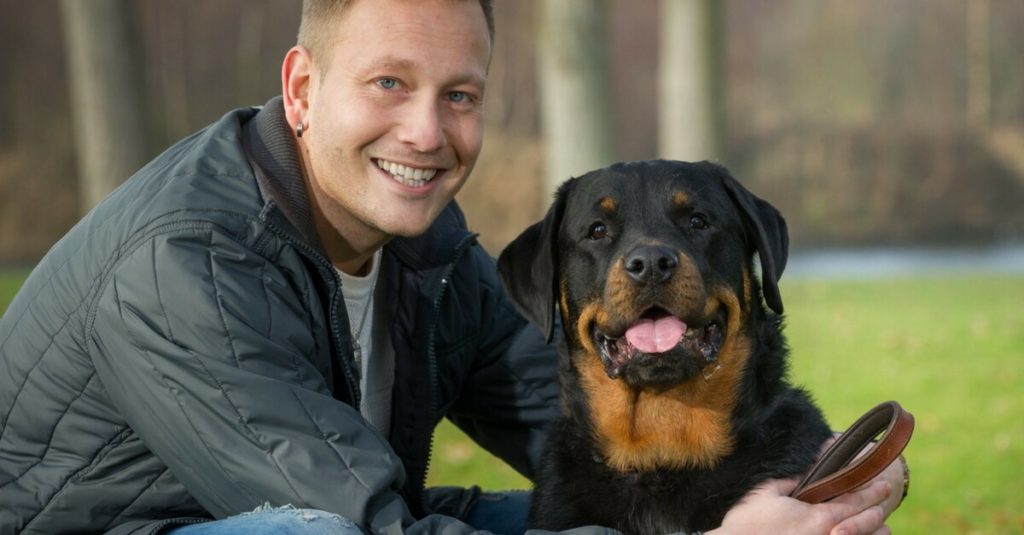 Esta perrita fue abandonada y atada a un árbol sin alimentos, pero su ...