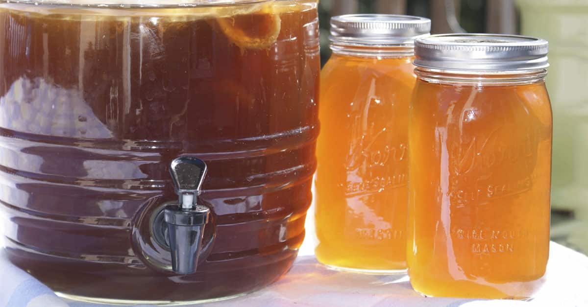 Kombucha: qué es y qué beneficios trae para la salud