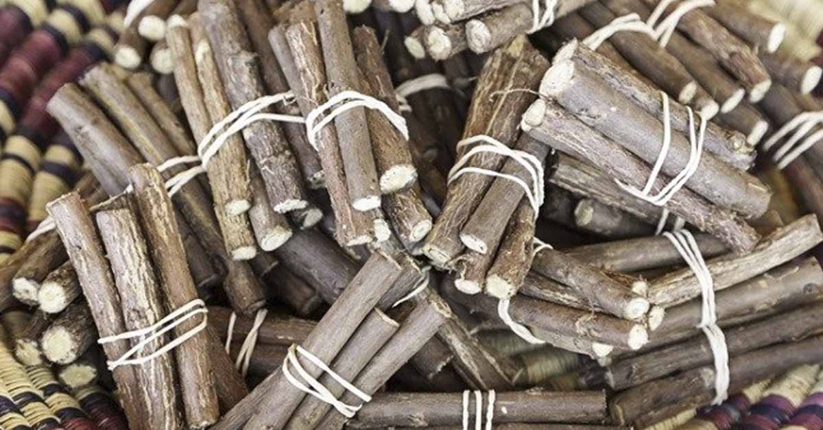 Regaliz, una raíz con increíbles beneficios para su salud