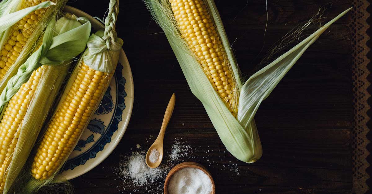 2 Recetas de uchepos: delicioso tamal con maíz tierno