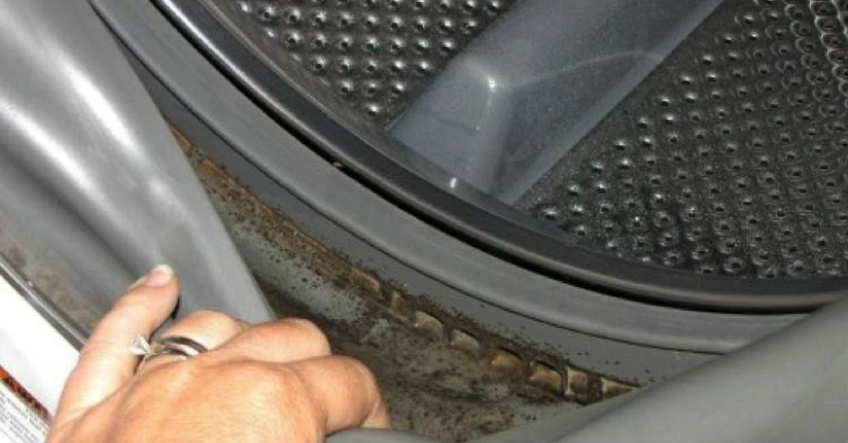 Cómo limpiar la goma de la lavadora: 3 trucos caseros Cómo limpiar la goma de la lavadora: 3 trucos caseros