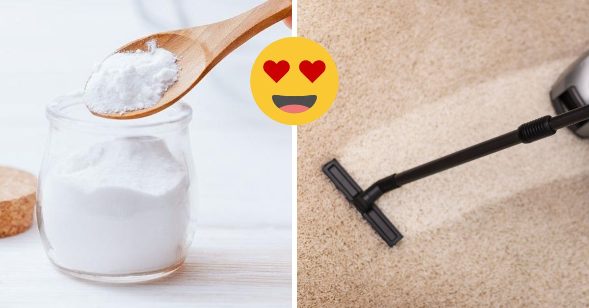 ¿Cómo limpiar una alfombra en seco? Ver 2 productos