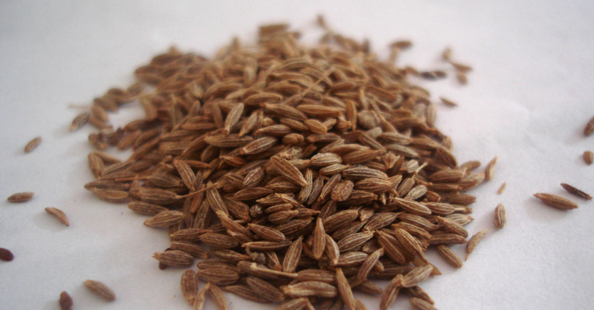4 Contraindicaciones del comino a tener en cuenta
