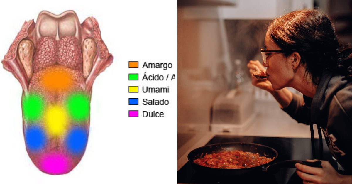 Umami: ¿Has oído hablar de este quinto sabor que la lengua puede degustar?