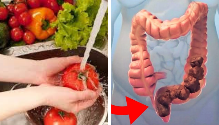 6 Alimentos para limpiar el colon