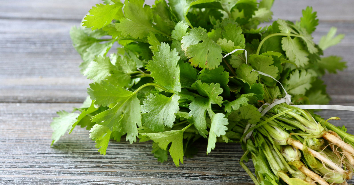 7 Usos y propiedades del cilantro