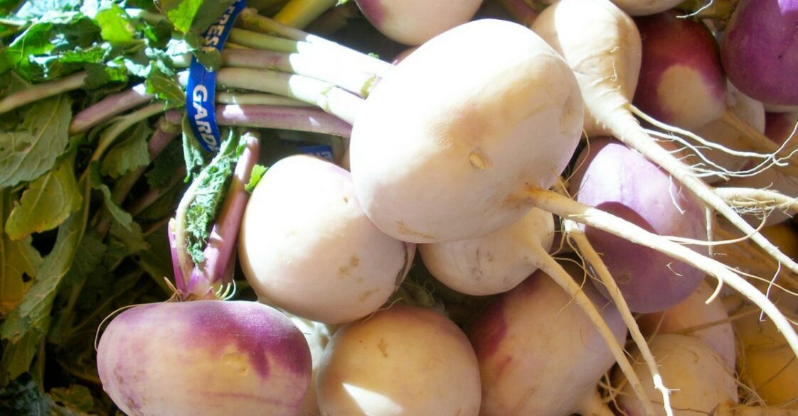 Conoce los beneficios del nabo para la salud