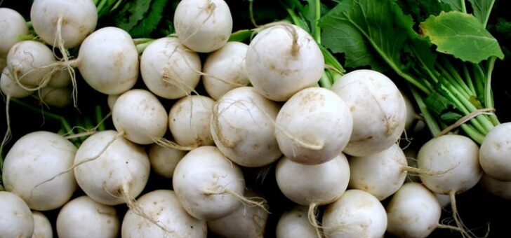 Conoce los beneficios del nabo para la salud