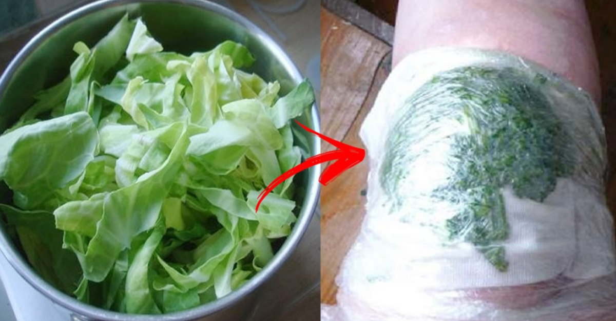 Acabe con los dolores e inflamaciones y limpie los pulmones con hojas ...