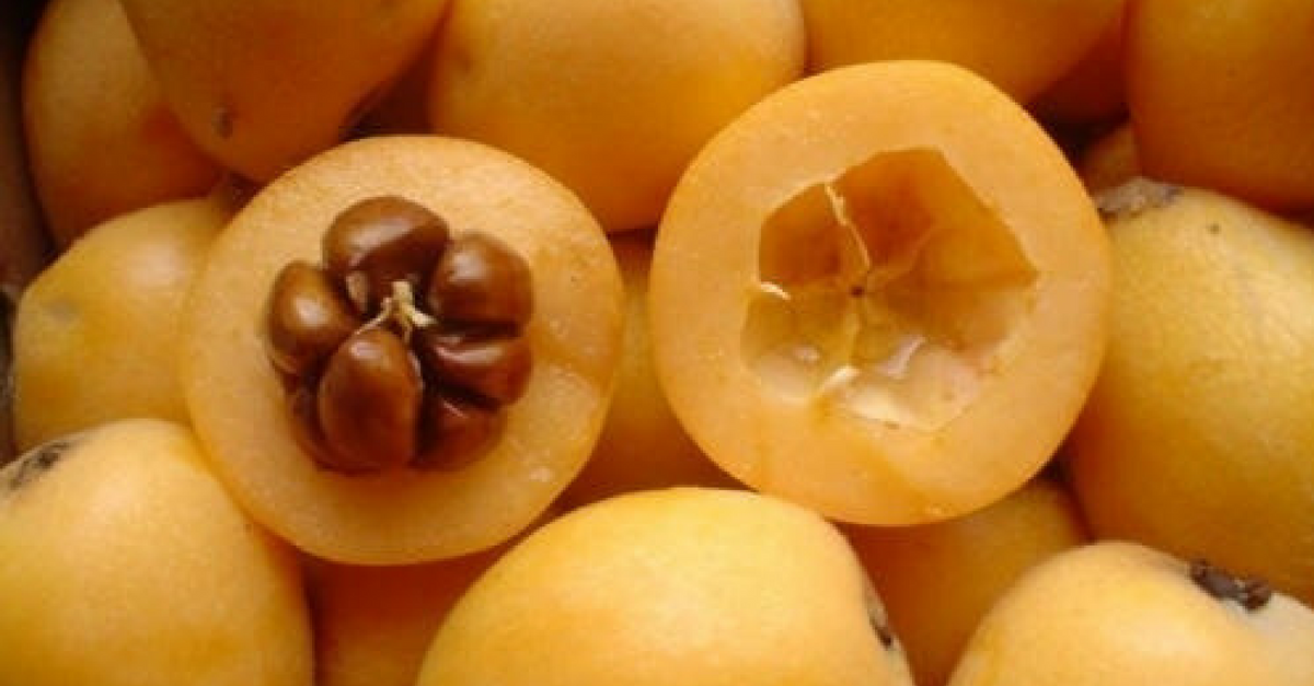 Níspero: una fruta agridulce con excelentes beneficios