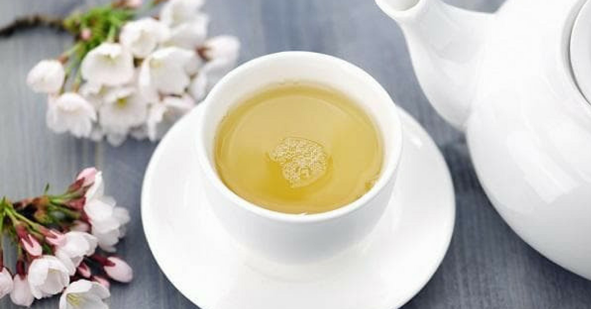 Té blanco: propiedades, contraindicaciones y cómo tomarlo