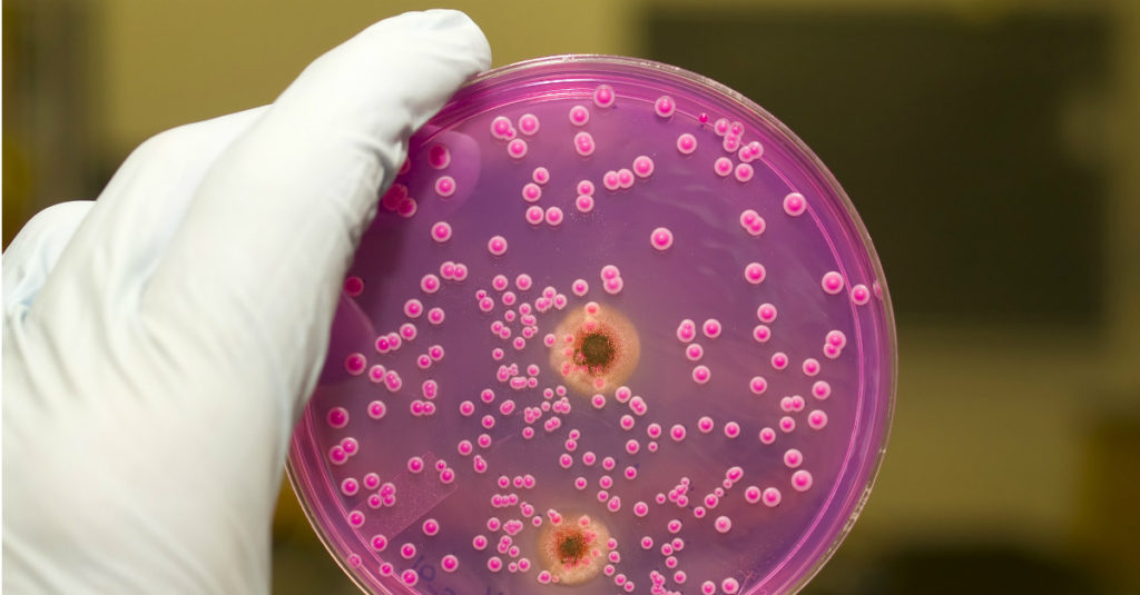 Candidiasis: qué es, síntomas y tratamiento