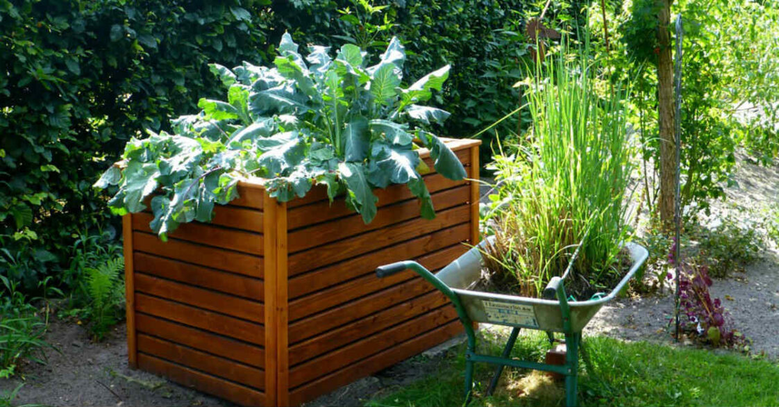 Cantero elevado: 5 ventajas + consejos para hacerlo en casa