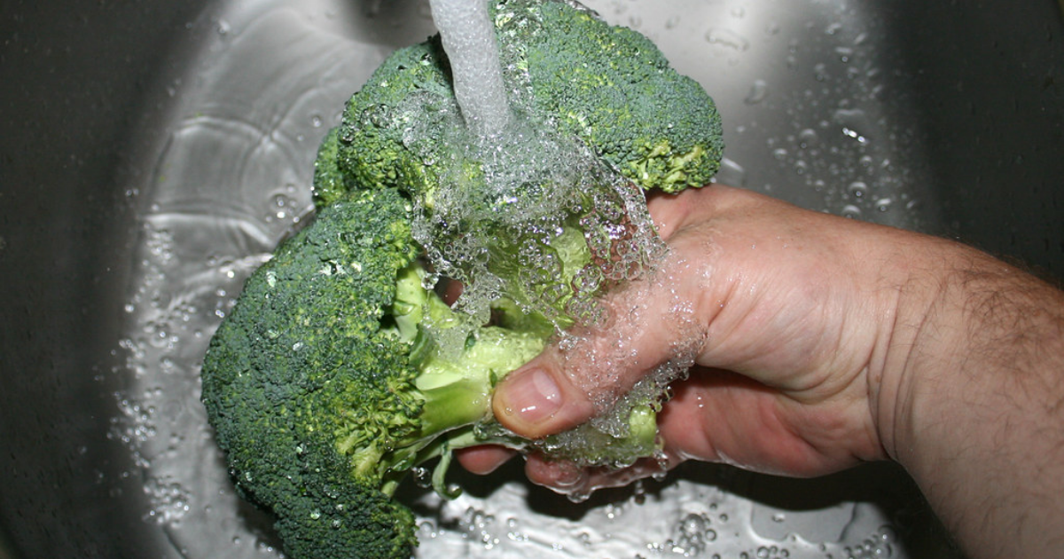Cómo lavar el brócoli para que quede libre de gusanos