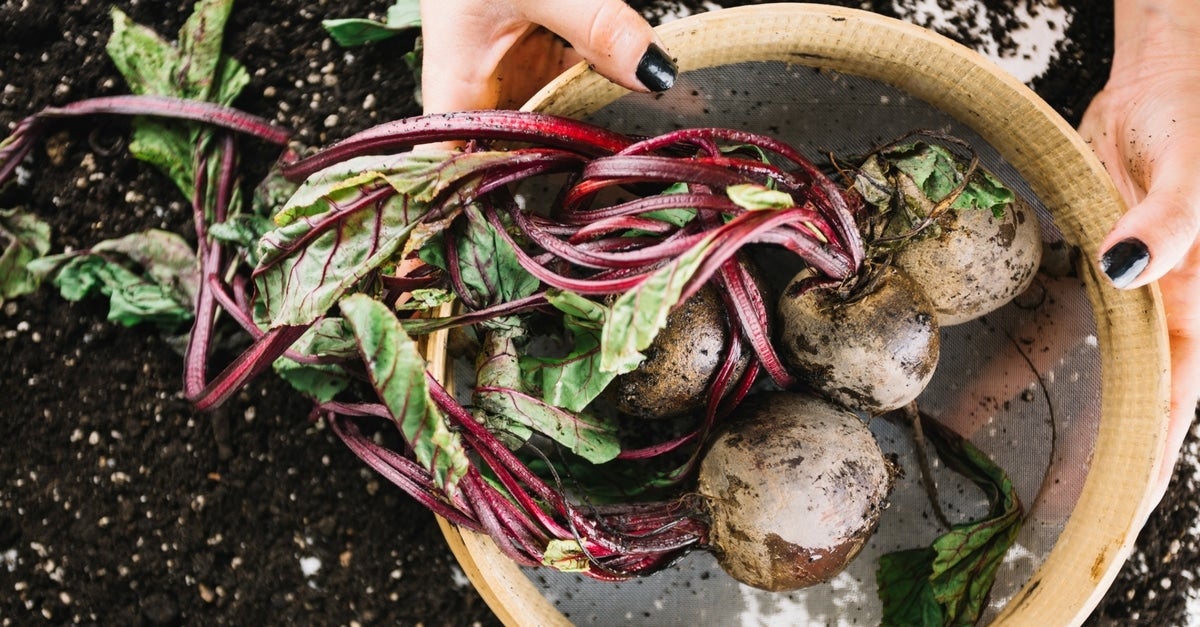 Las 6 mejores formas de cocinar remolacha para aprovechar los nutrientes