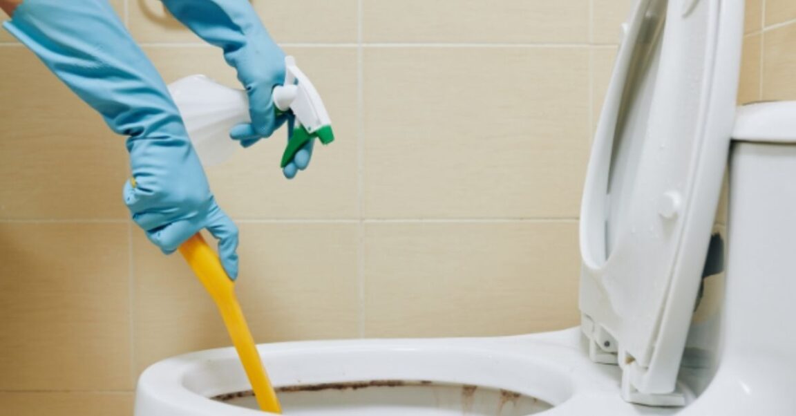 Consejos para eliminar el sarro del inodoro