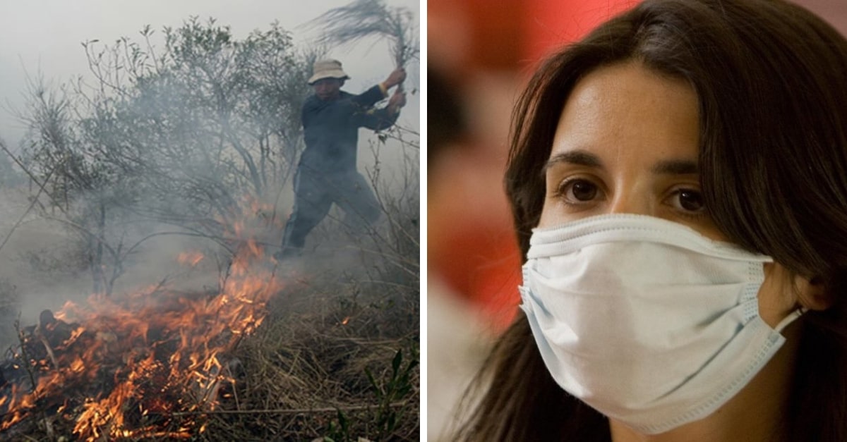 Cómo protegerte del humo de los incendios