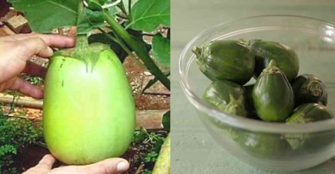 Protege tu corazón e hígado, prevén la pelagra y reduce el colesterol ...