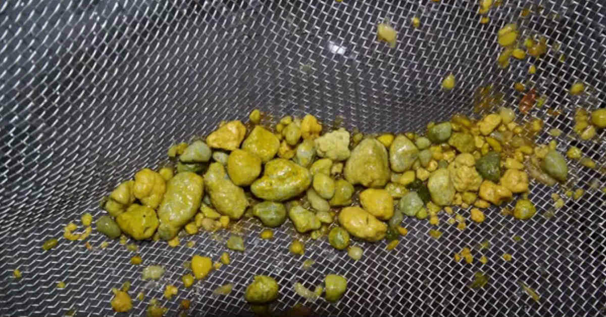 Limpieza de cálculos biliares en la vesícula y en el hígado