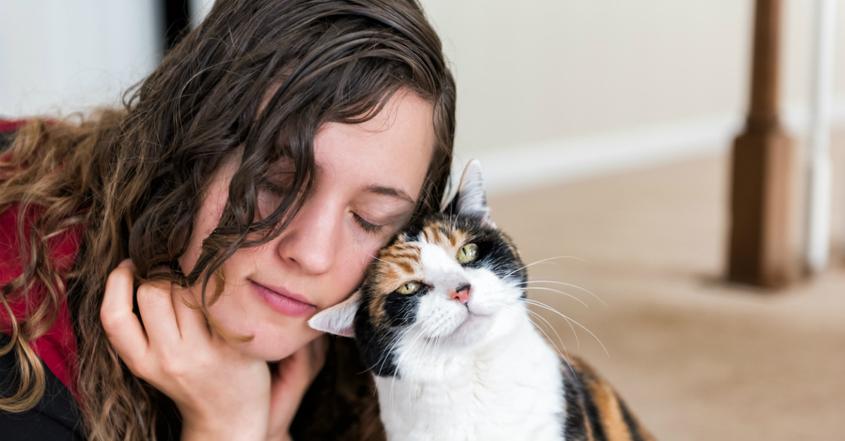 4 Beneficios de tener un gato