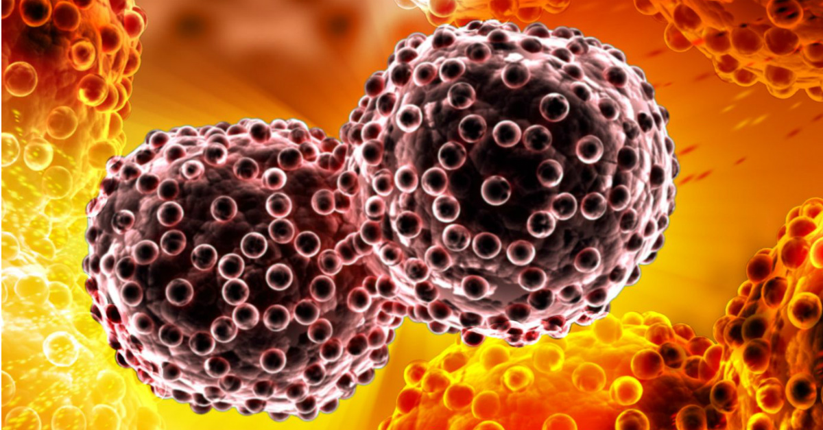 ¿Encuentran la proteína para la curación de la metástasis?