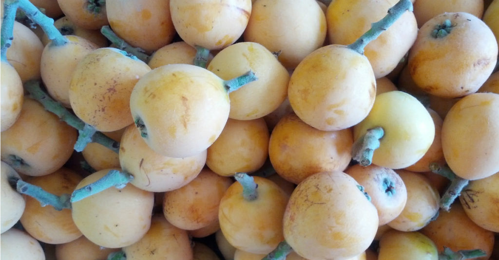 Níspero: una fruta agridulce con excelentes beneficios