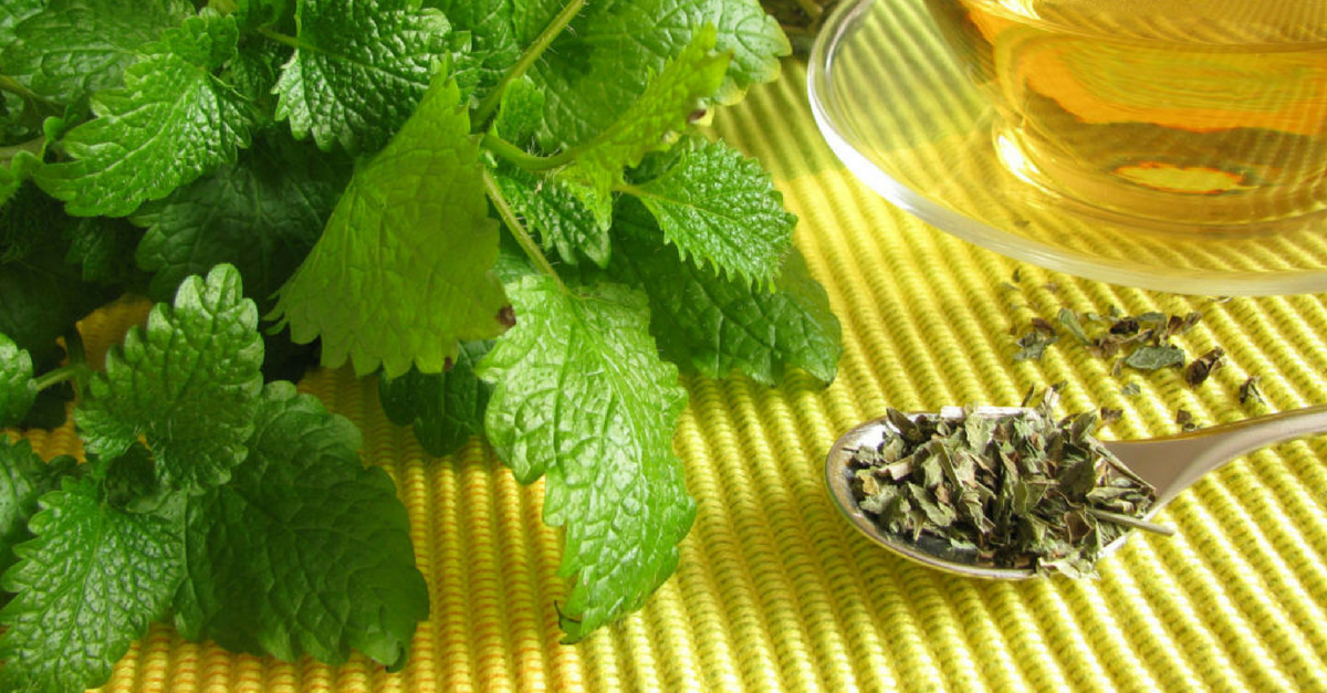 8 Calmantes naturales para ayudarte con el nerviosismo