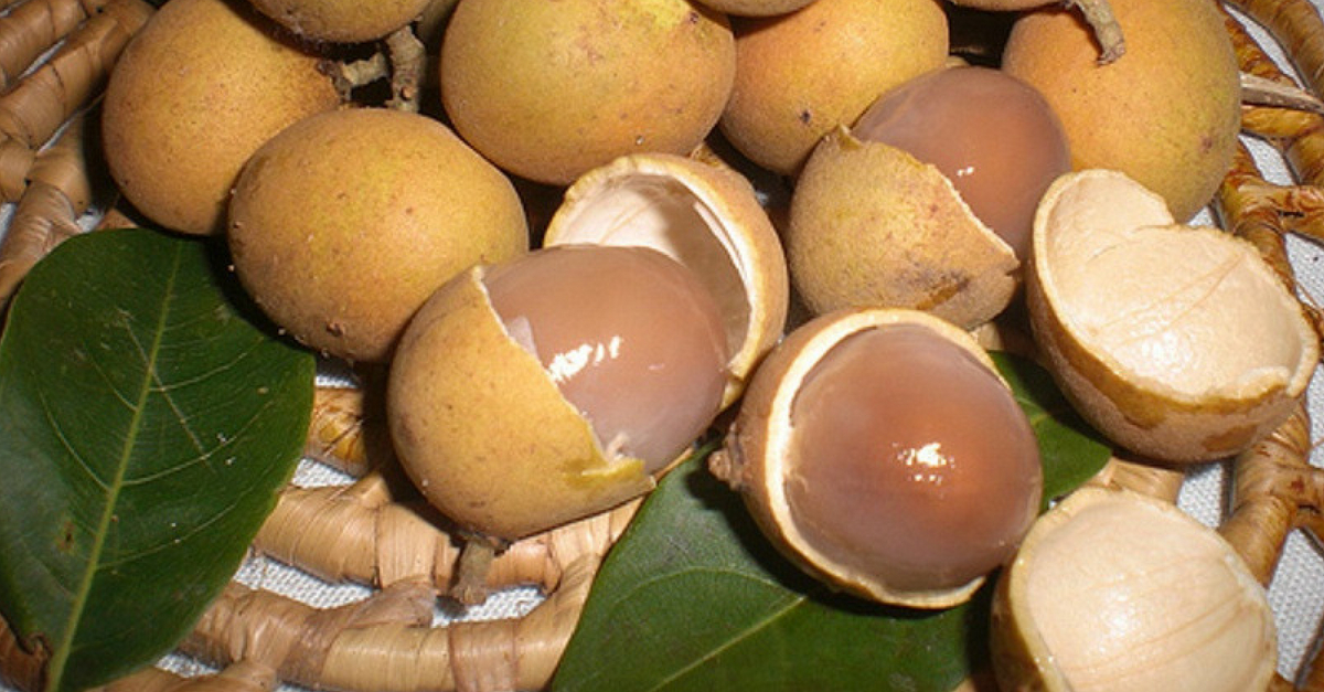 Pitomba: conoce los beneficios de esta fruta para la salud