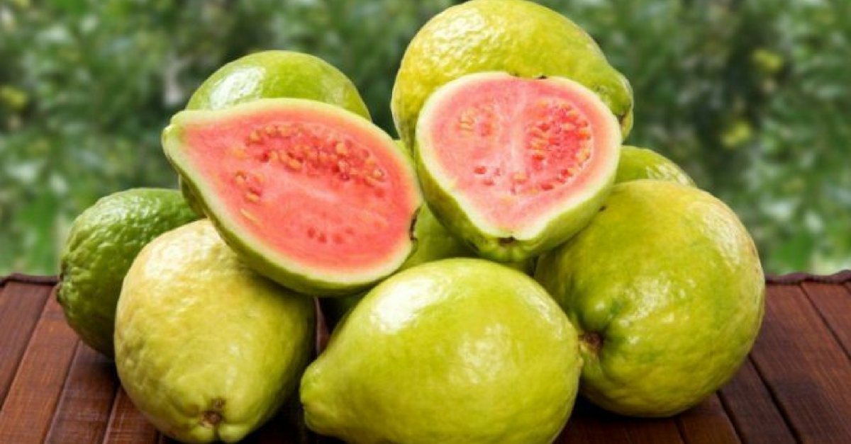 ¿Conoces las propiedades de la guayaba para tu organismo?