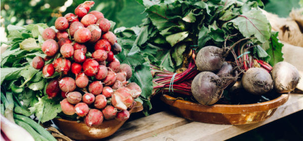 10 Beneficios del rábano para tu salud