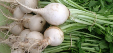 7 Raíces comestibles: propiedades y beneficios para la salud