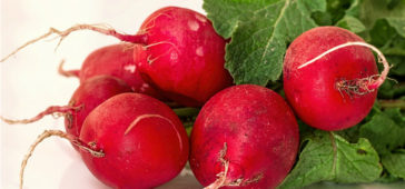 7 Raíces comestibles: propiedades y beneficios para la salud