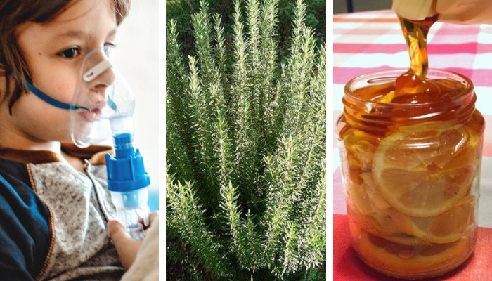 8 Remedios Caseros Para El Asma