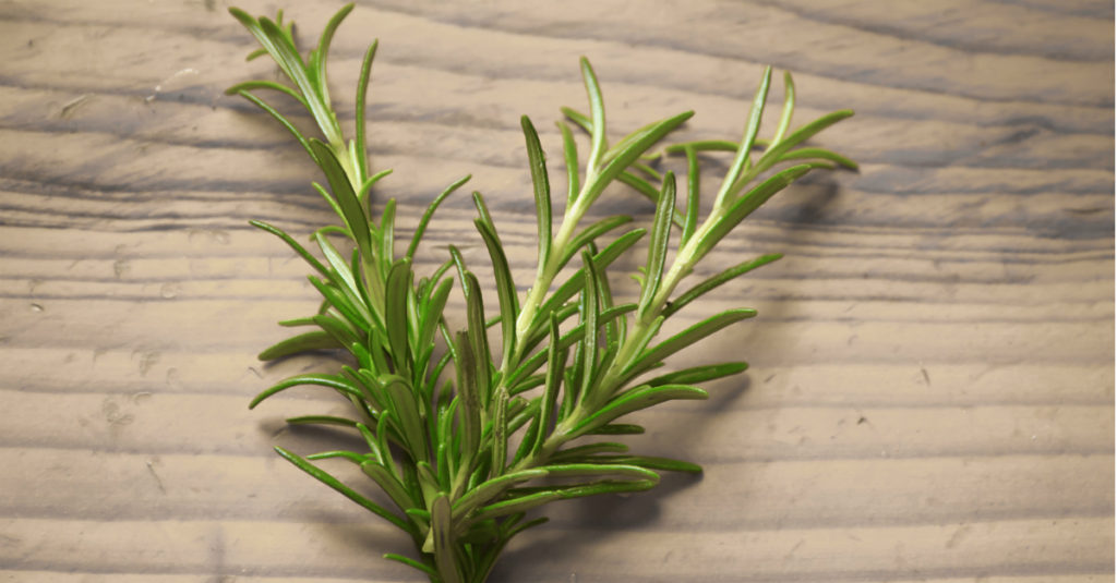 Beneficios y propiedades del romero